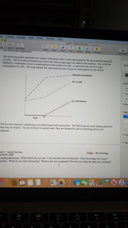 Solved ert Format Arrange View Share Window Help Lab 2 - | Chegg.com