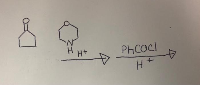 Solved Phcocl H+ + H+ | Chegg.com