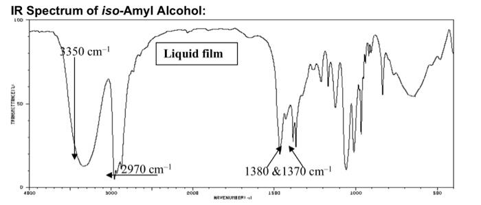 Solved 5. The principal bands in the infrared spectra of the | Chegg.com