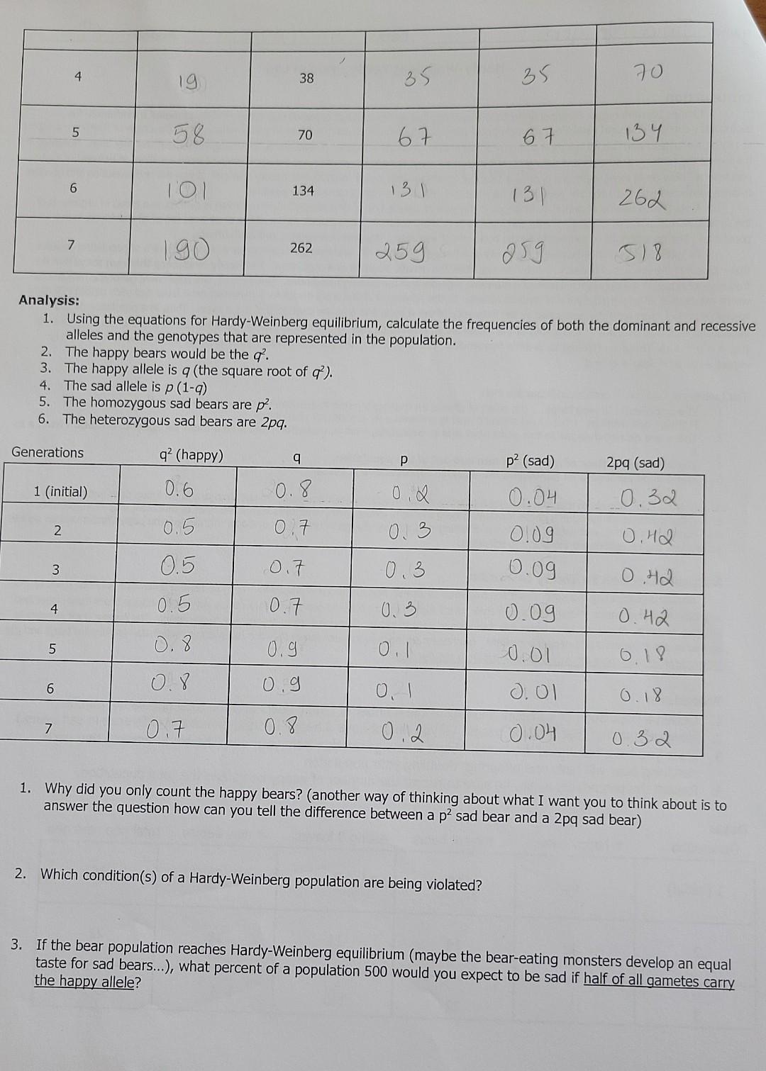 Solved Hardy-Weinberg Teddy Graham Lab (Please fix the | Chegg.com