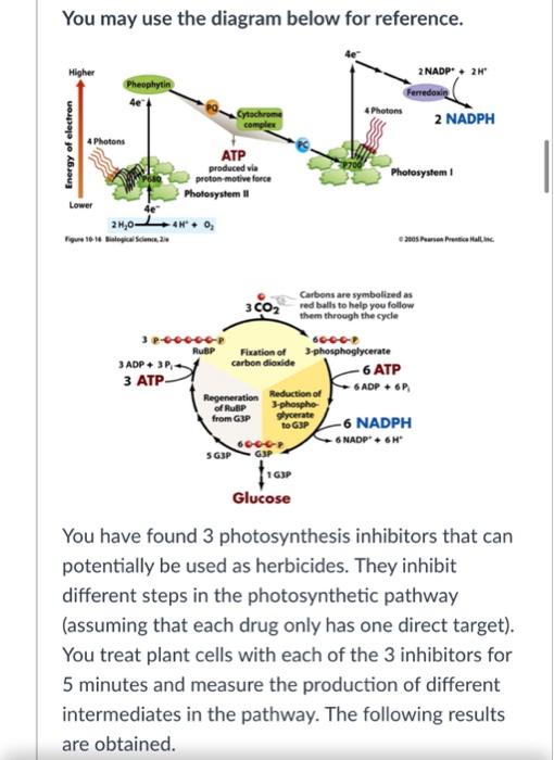 Solved You have found 3 photosynthesis inhibitors that can | Chegg.com