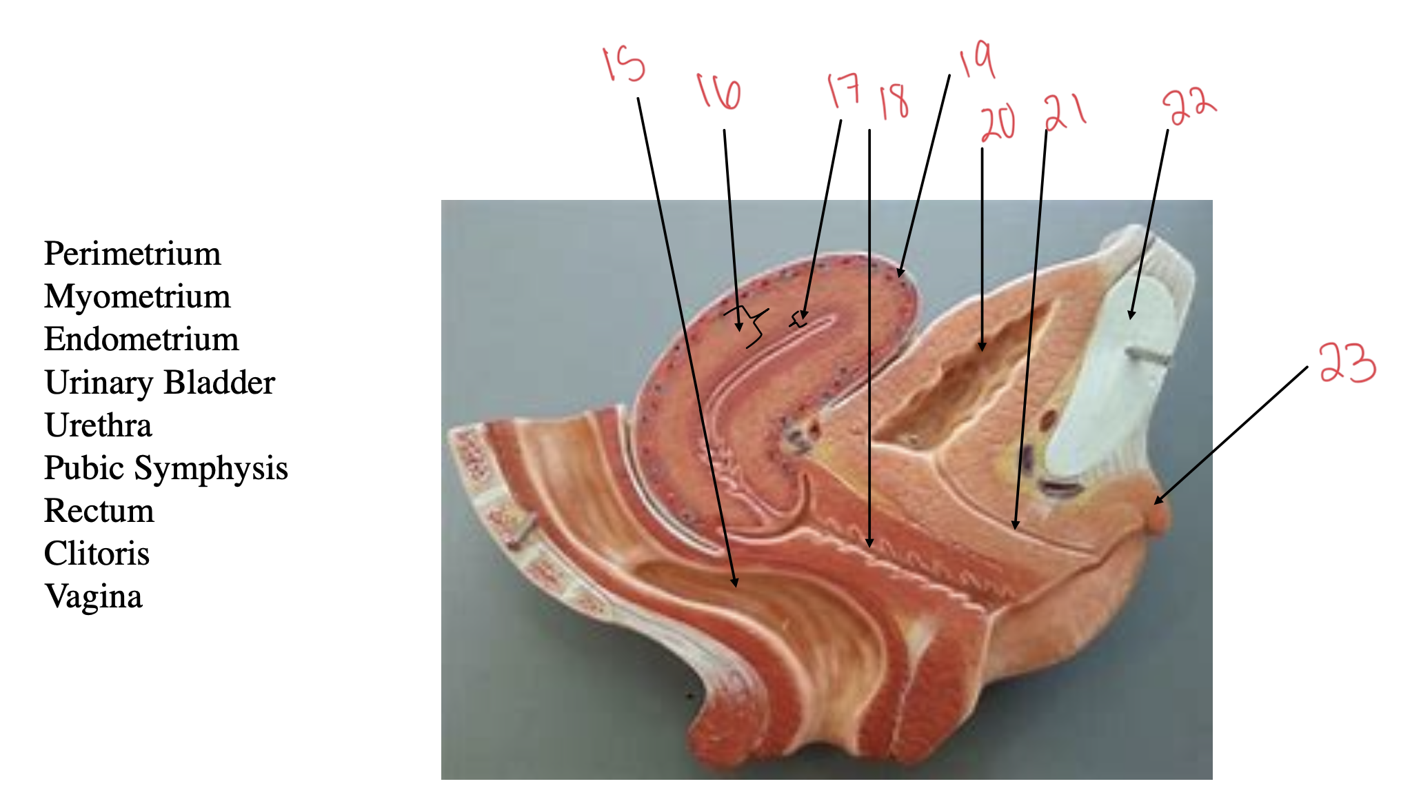 Solved please label all numbers! | Chegg.com