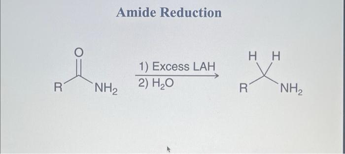 Solved Amide Reduction о H H 1) Excess LAH 2) H2O R NH2 R | Chegg.com