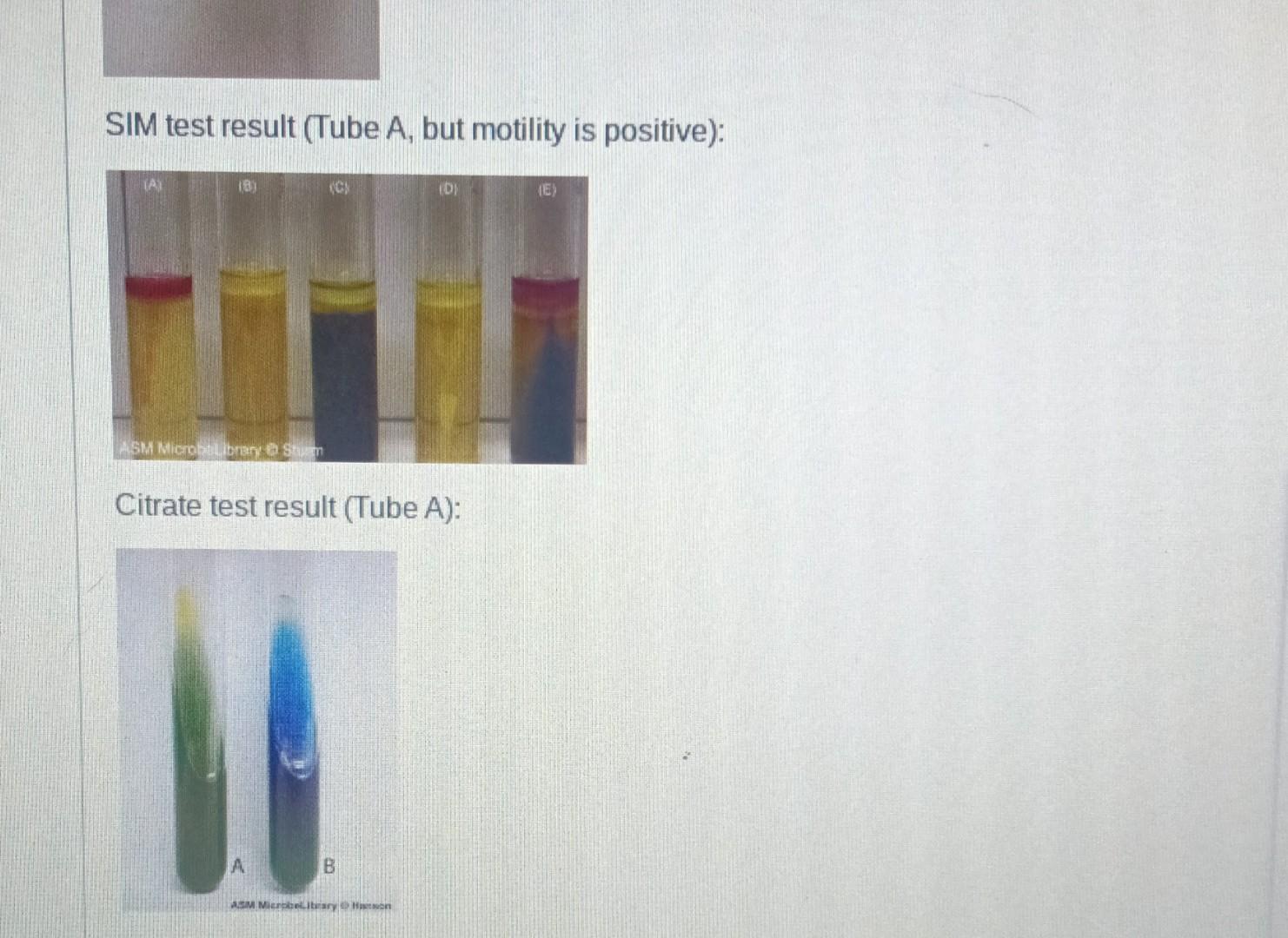 Solved You perform several tests on an unidentified | Chegg.com