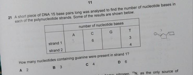 Solved 11 21 short piece of DNA 15 base pairs long was | Chegg.com