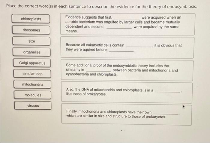 Solved Place the correct word(s) in each sentence to | Chegg.com