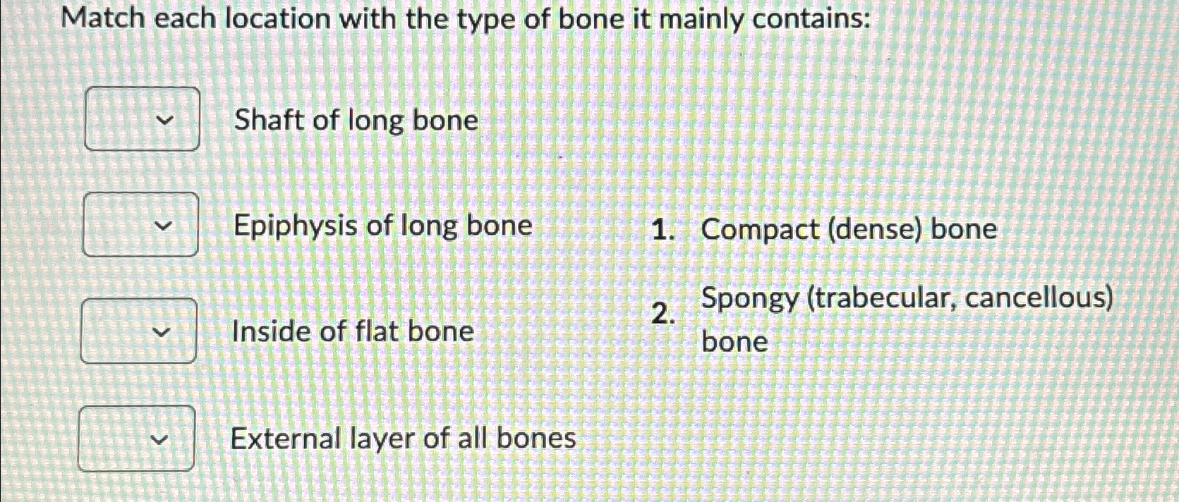 Solved Match each location with the type of bone it mainly | Chegg.com