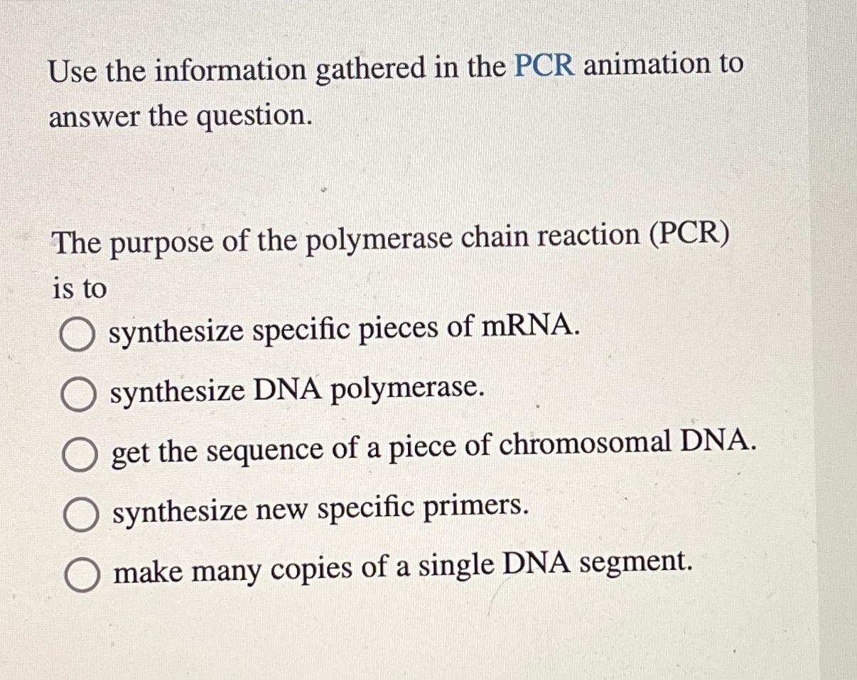 Solved Use the information gathered in the PCR animation to | Chegg.com
