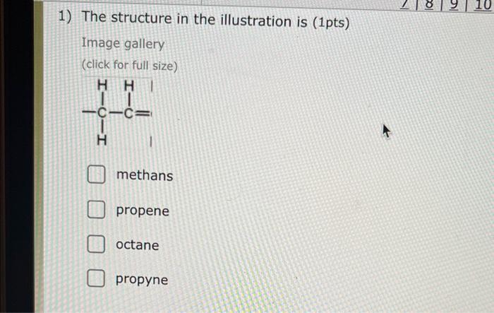 Solved 1) The structure in the illustration is (1pts) Image | Chegg.com