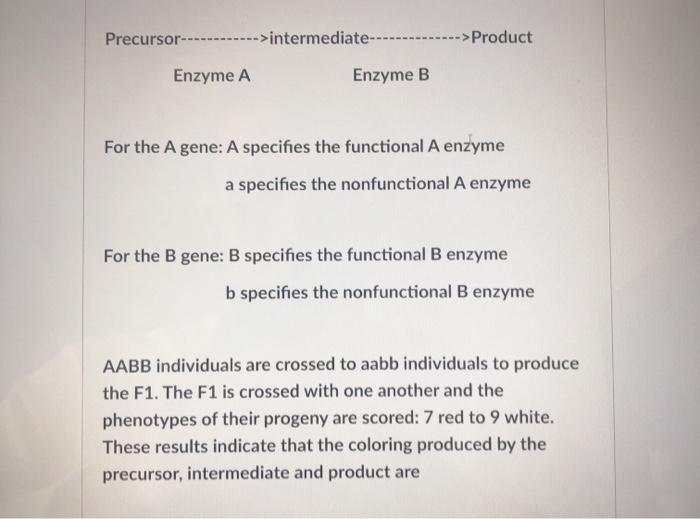 Solved Precursor- ->intermediate- -> Product Enzyme A Enzyme | Chegg.com