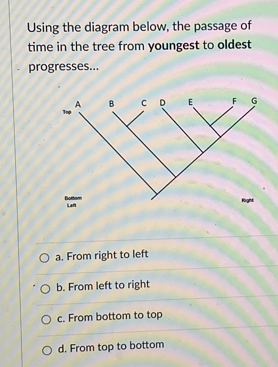 Solved Using the diagram below, the passage of time in the | Chegg.com