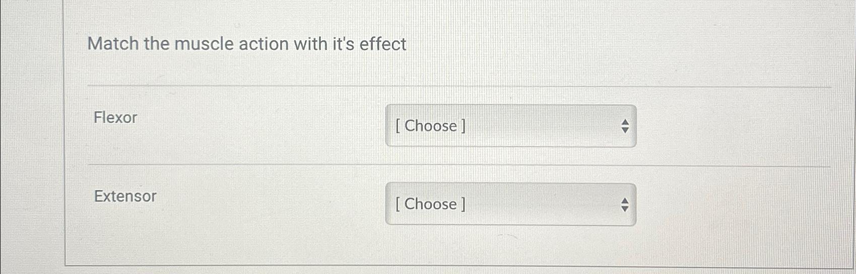 Solved Match the muscle action with it's | Chegg.com