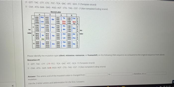 Solved 3". GTT-TAC-CT . CTC-TCC-TCA-GAC-ATC-GCA. 5 (Template | Chegg.com