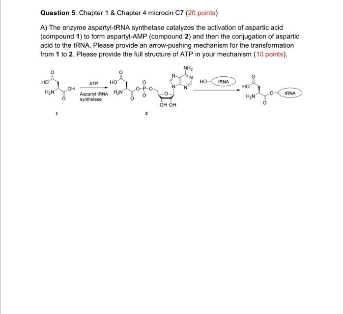 Solved Question 5: Chapter 1 & Chapter 4 microcin C7 (20 | Chegg.com