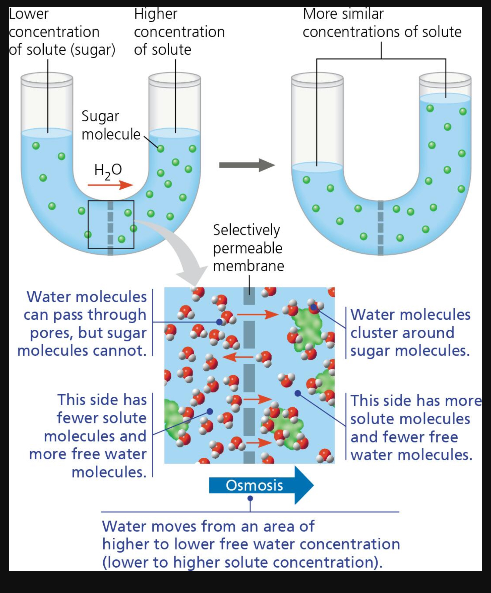 Solved Use the inFormation in figure 7.12 ﻿to explain the | Chegg.com