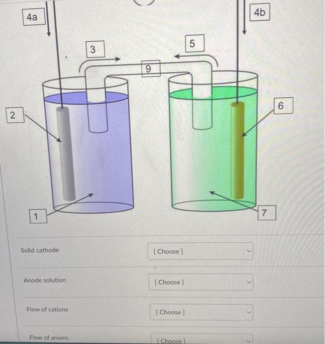 Solved Solid cathode Anode solution Flow of cations Flow of | Chegg.com