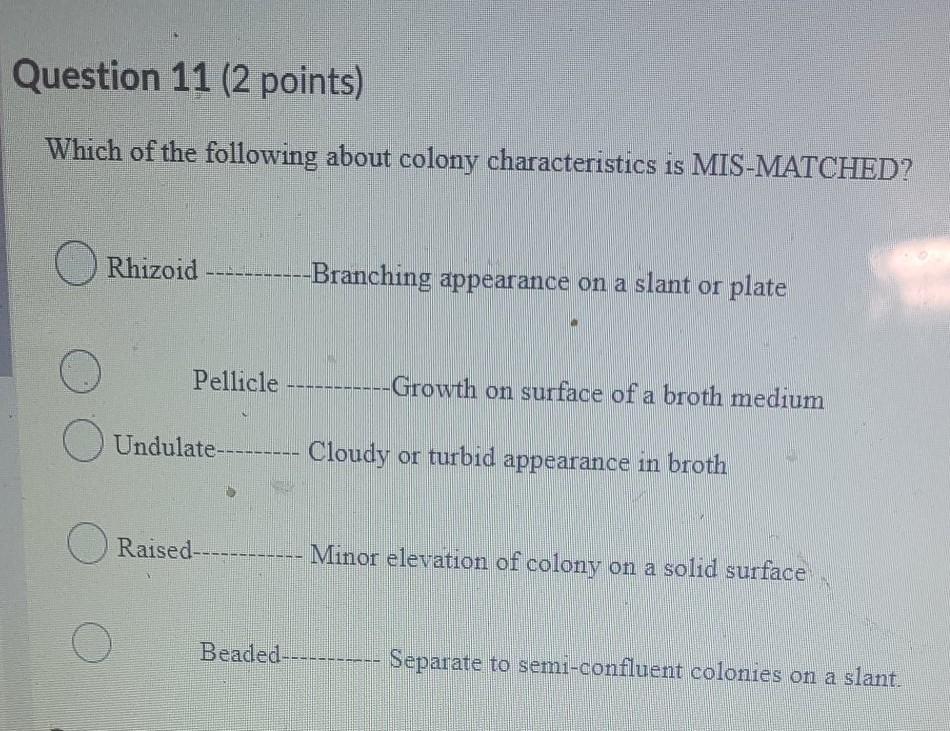 Solved Question 11 (2 points) Which of the following about | Chegg.com