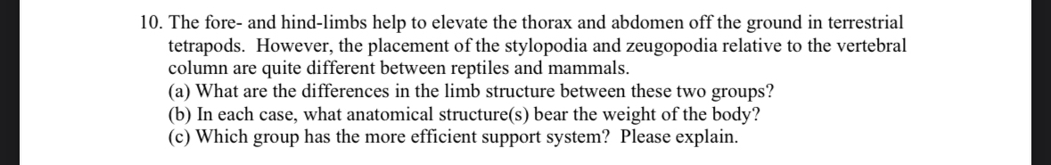Solved The fore- ﻿and hind-limbs help to elevate the thorax | Chegg.com