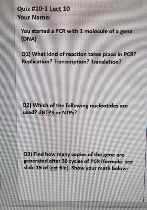 Solved Quiz #10-1 Lect 10 Your Name: You started a PCR with | Chegg.com Solved Quiz #10-1 Lect 10 Your Name: You started a PCR with | Chegg.com