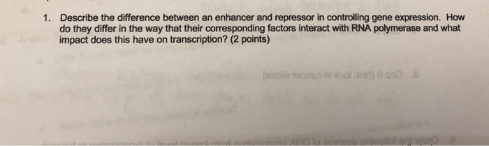 Solved 1. Describe the difference between an enhancer and | Chegg.com