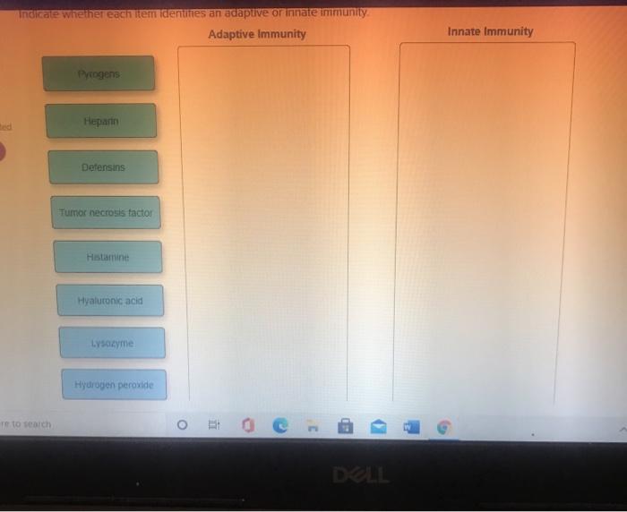 Solved indicae whether each item denines an adaptive or | Chegg.com