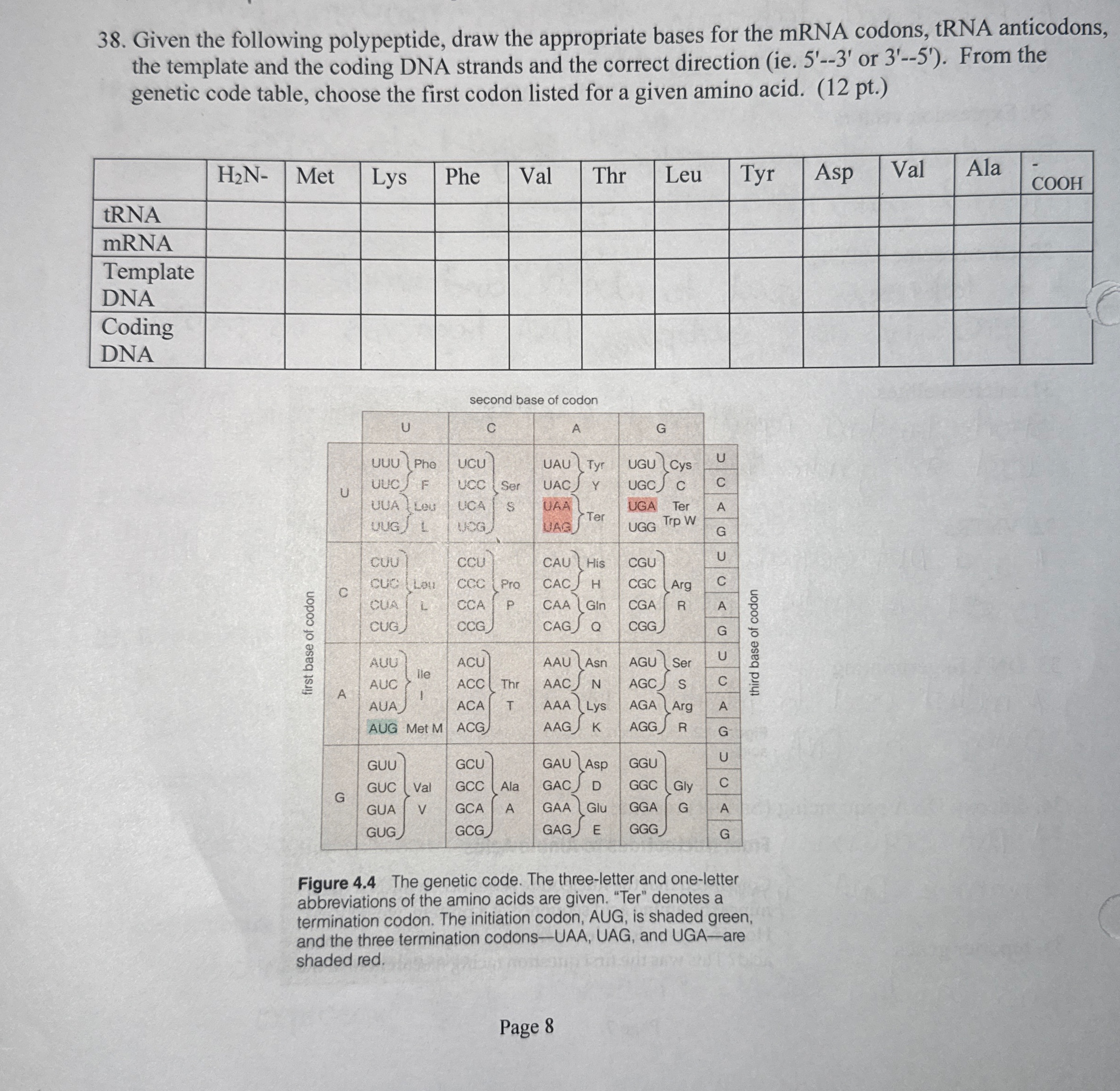Solved Given the following polypeptide, draw the appropriate | Chegg.com