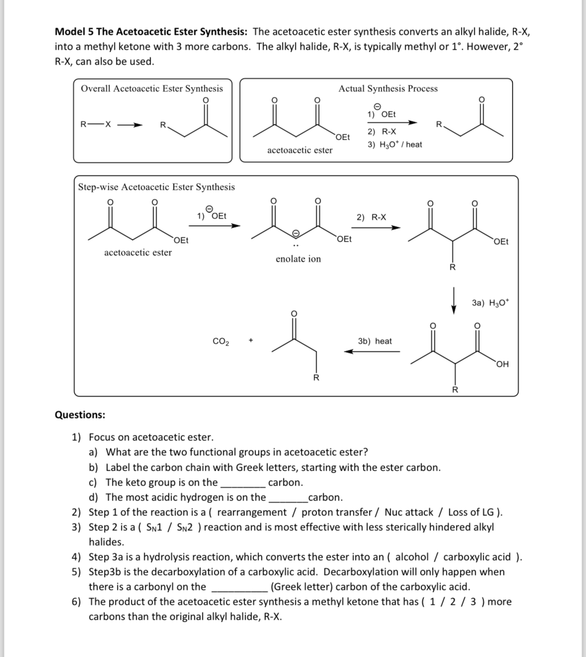 Solved Model 5 ﻿The Acetoacetic Ester Synthesis: The | Chegg.com