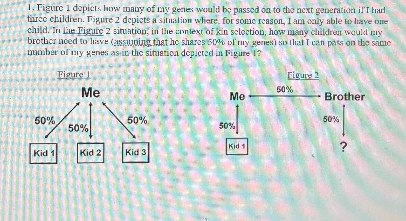 Solved Figure 1 ﻿depicts how many of my genes would be | Chegg.com