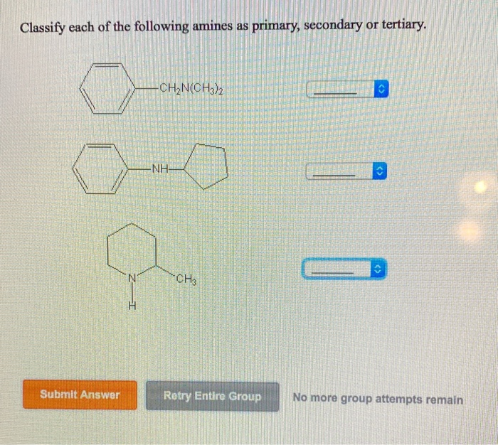 Solved Classify each of the following amines as primary, | Chegg.com