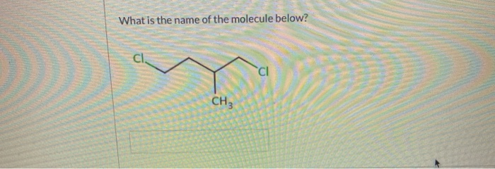 Solved What is the name of the molecule below? cl Cl CH3 | Chegg.com