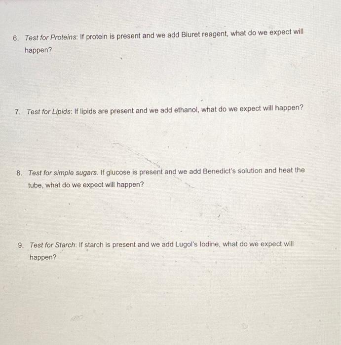Solved 6. Test for Proteins: If protein is present and we | Chegg.com