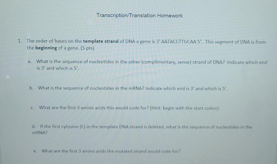 Solved Transcription/Translation Homework 1. The order of | Chegg.com