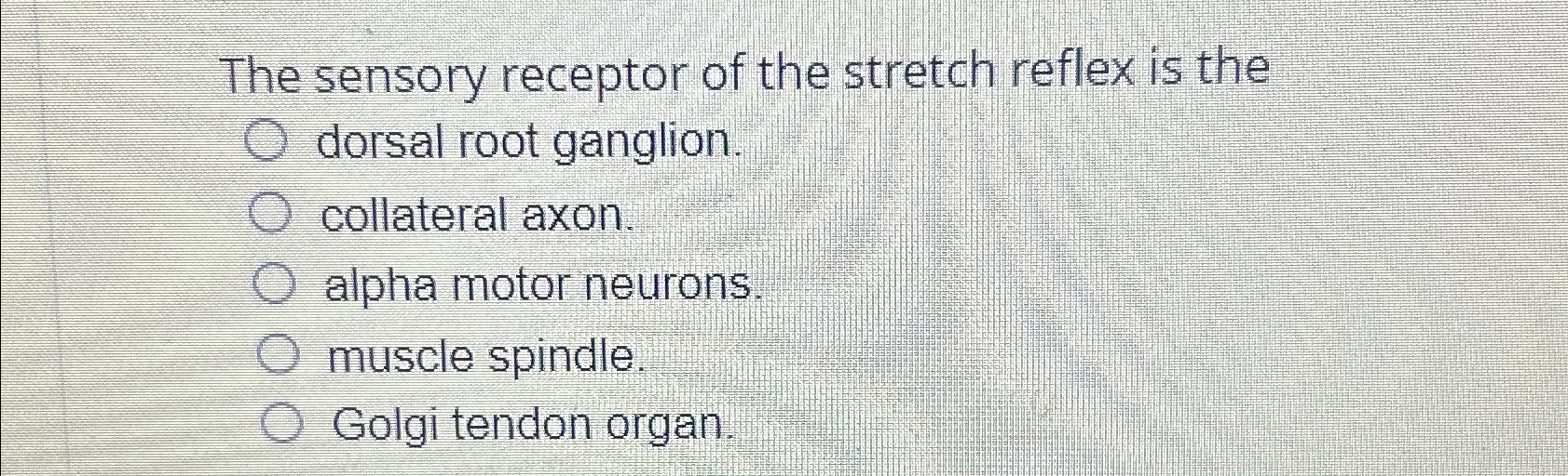 Solved The sensory receptor of the stretch reflex is the | Chegg.com