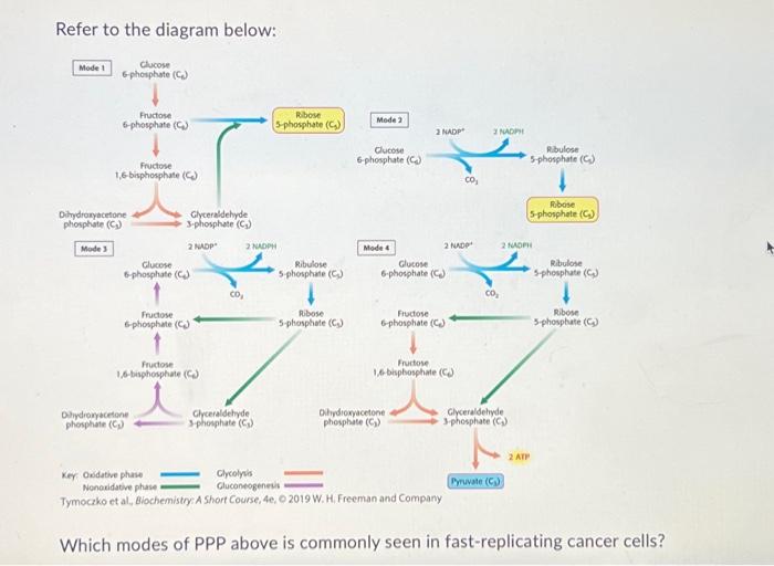 Solved Refer to the diagram below: Which modes of PPP above | Chegg.com