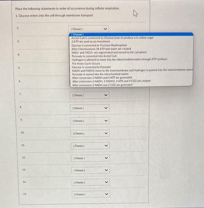 Solved Place the following statements in order of occurrence | Chegg.com
