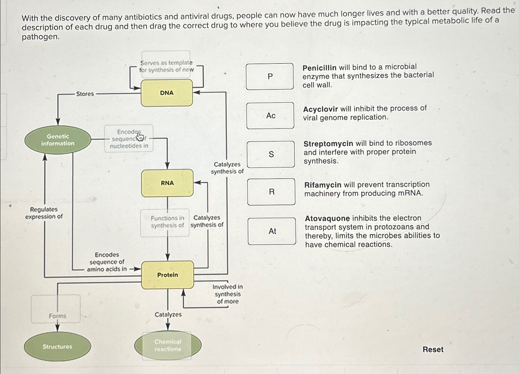 Solved With the discovery of many antibiotics and antiviral | Chegg.com