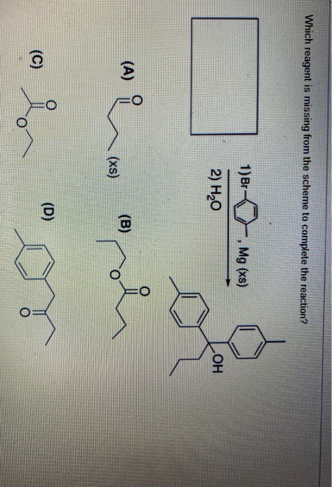 Solved Which splitting pattern (multiplicity) is expected to | Chegg.com