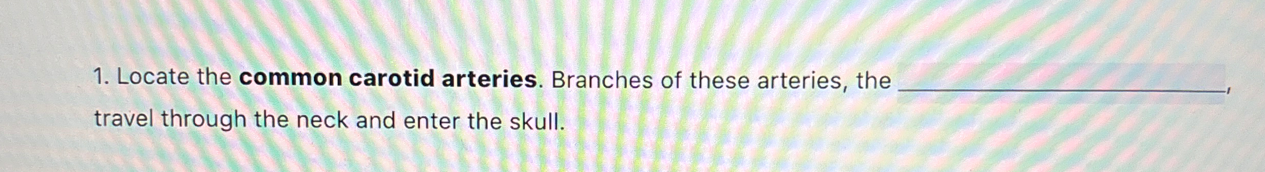 Solved Locate the common carotid arteries. Branches of these | Chegg.com