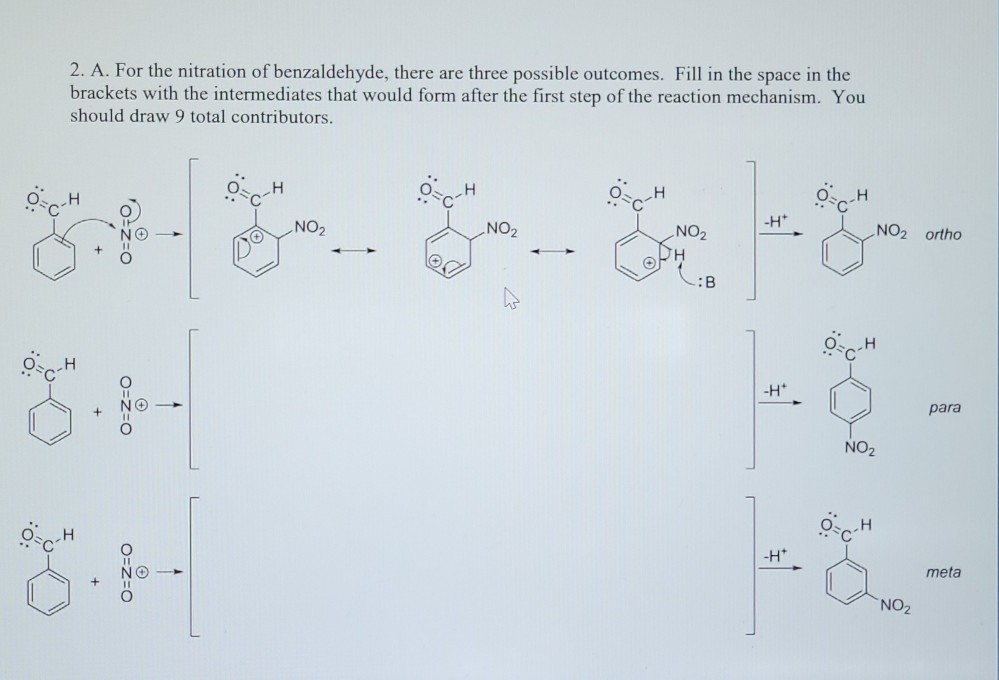 Solved 2. A. For the nitration of benzaldehyde, there are | Chegg.com