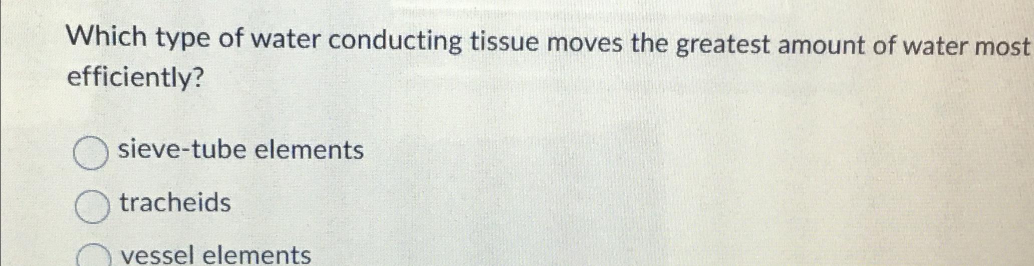 Solved Which type of water conducting tissue moves the | Chegg.com
