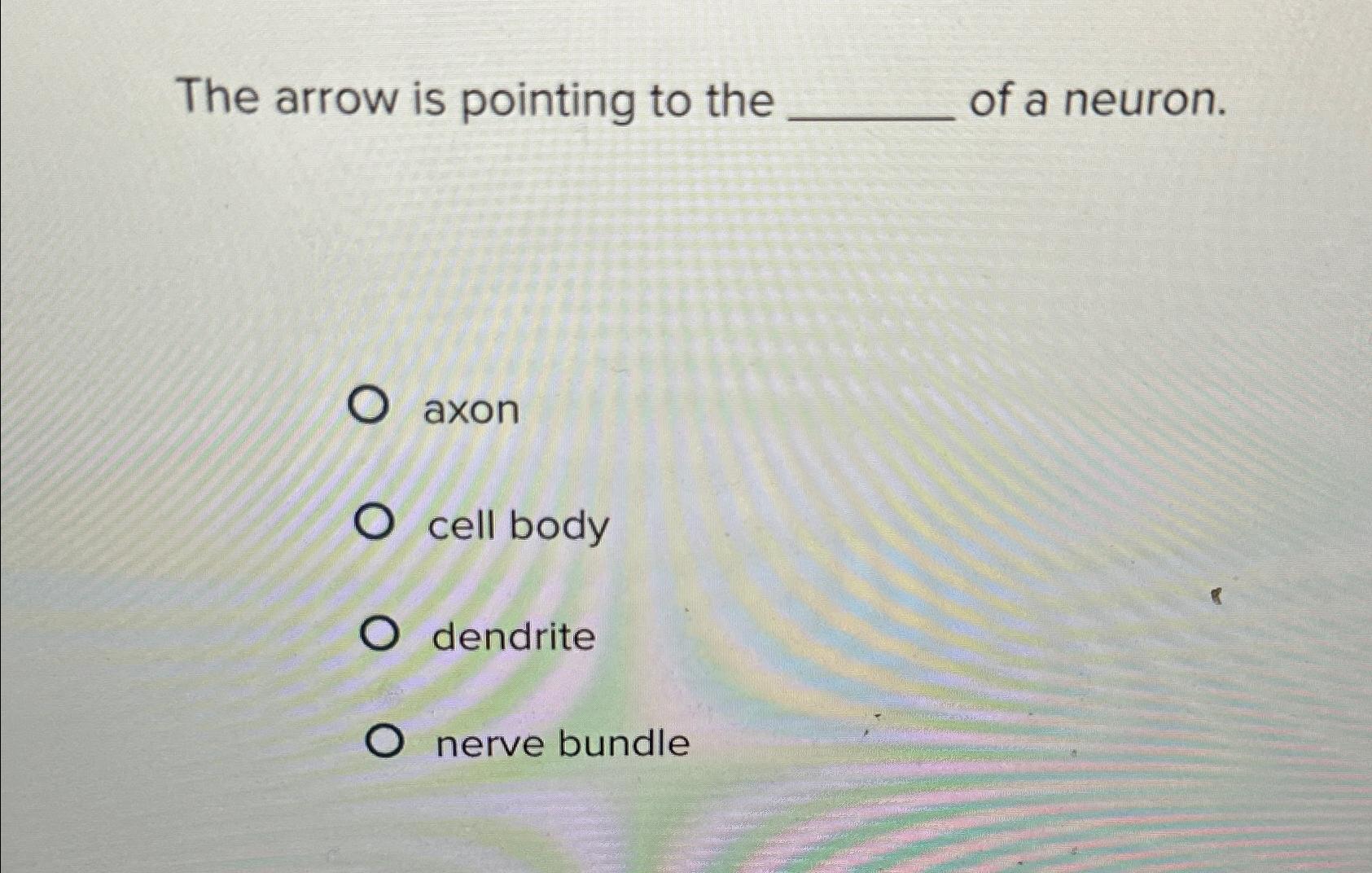 Solved The arrow is pointing to the of a neuron.axoncell | Chegg.com