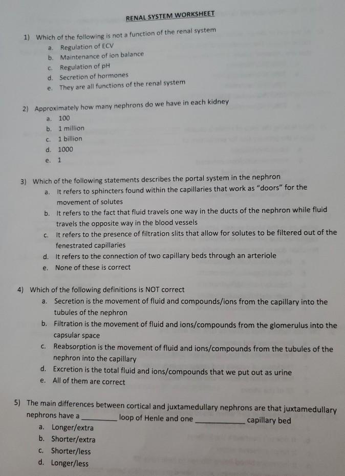 Solved RENAL SYSTEM WORKSHEET 1) Which of the following is | Chegg.com