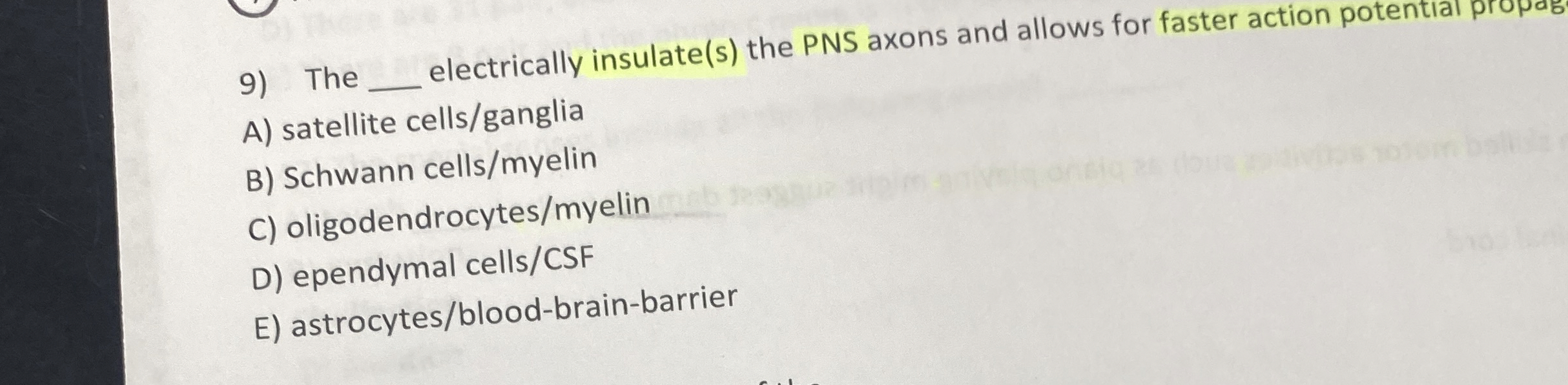Solved The electrically insulate(s) ﻿the PNS axons and | Chegg.com