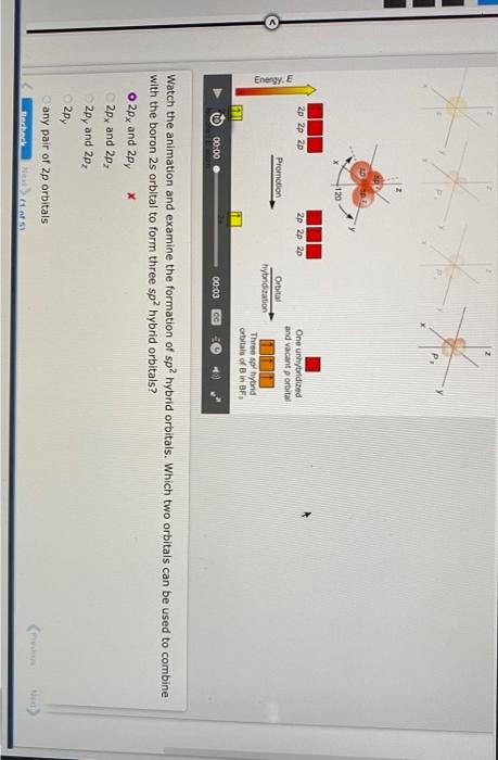 Solved Watch the animation and examine the formation of sp2 | Chegg.com