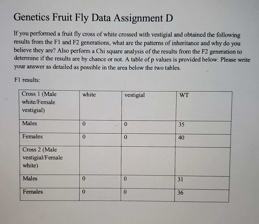 Solved Genetics Fruit Fly Data Assignment D If you performed | Chegg.com
