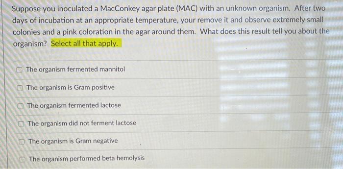 Solved Suppose you inoculated a MacConkey agar plate (MAC) | Chegg.com