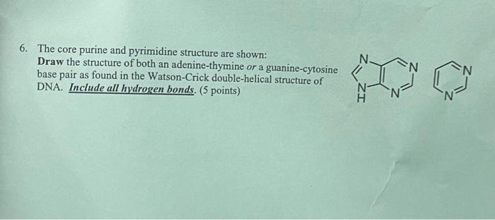 Solved 6. The core purine and pyrimidine structure are | Chegg.com