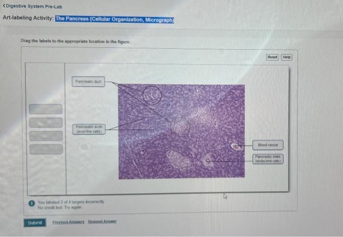 Solved Orag the labelis to the appropriate location in the | Chegg.com
