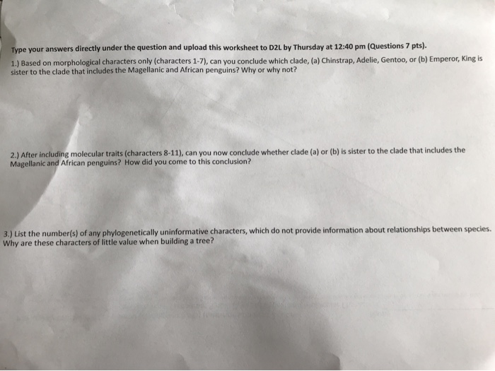 Penguin Phylogeny YOU MUST build your cladogram based | Chegg.com