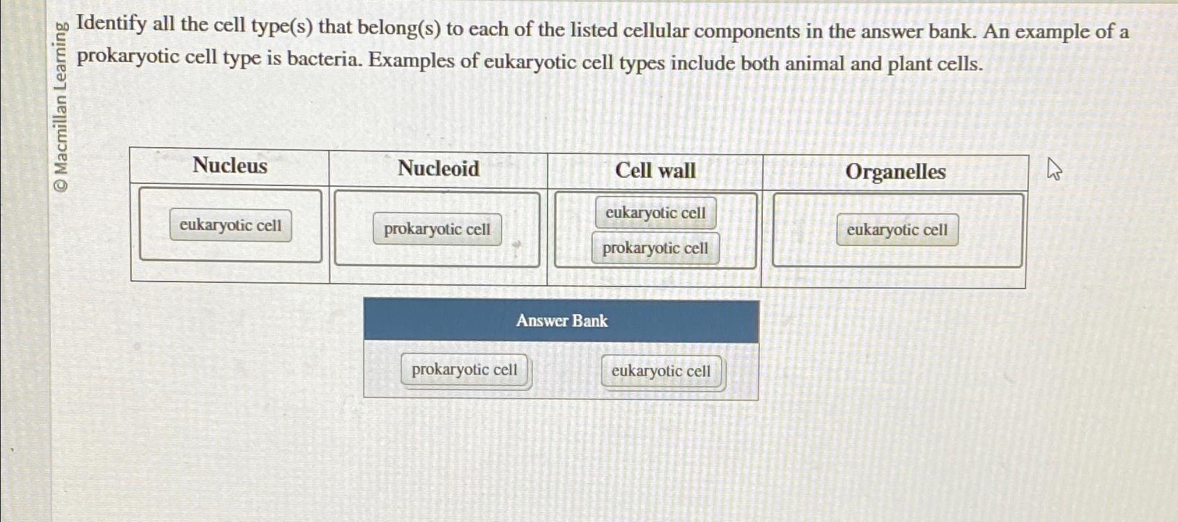 Solved Identify all the cell type(s) ﻿that belong(s) ﻿to | Chegg.com